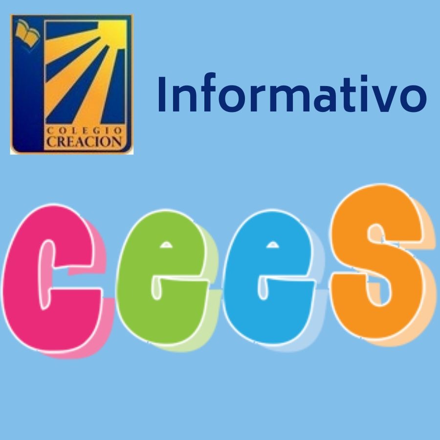 CREACION - COLEGIOS Y LICEOS