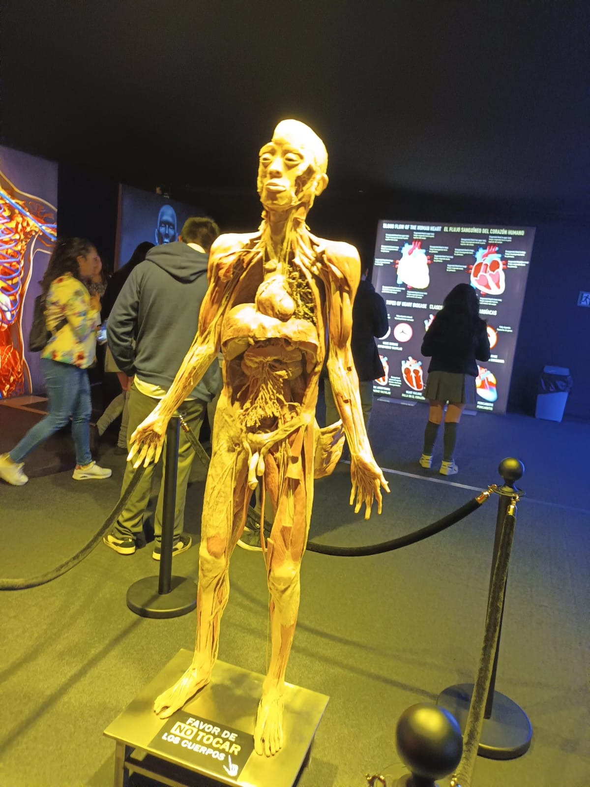 CREACION - COLEGIOS Y LICEOS